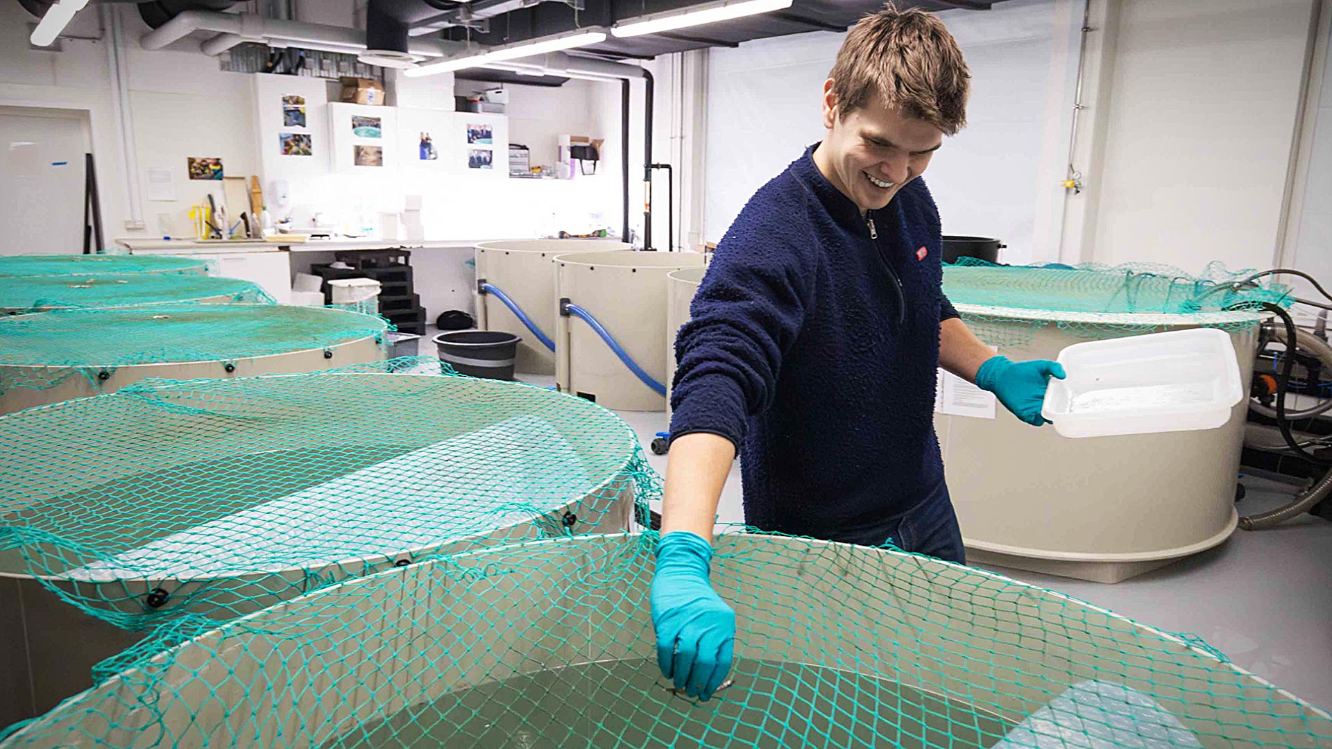 Blot lille fald i vandets iltindhold påvirker fisk som torsk negativt ...