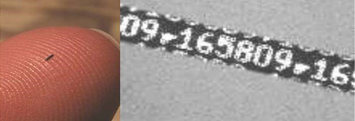 CWT-mærke (Coded Wire Tag), CW-mærke (Coded Wire eller Kodet Wire ...